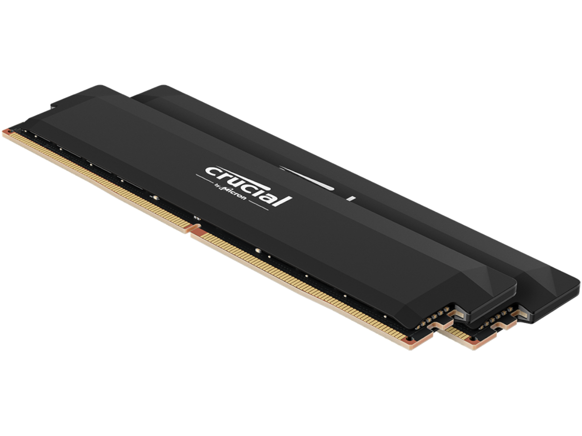 Crucial Pro CP2K16G60C36U5B (DDR5-6000 CL36 16GB×2) 0649528941596 ...